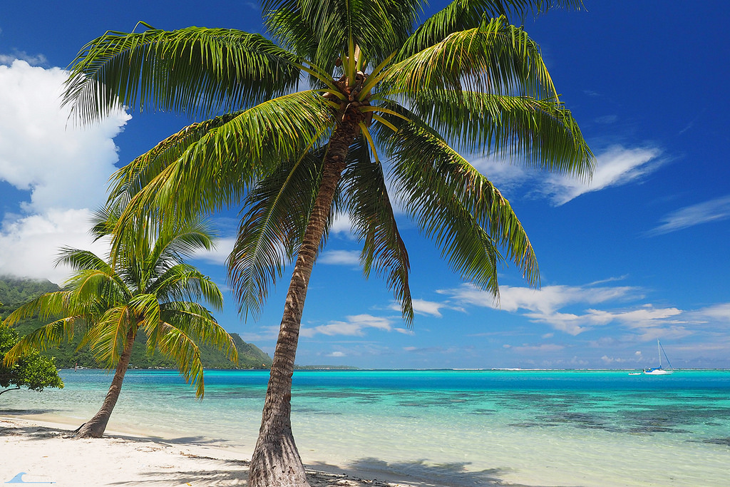 5 Inspiring Ideas to Achieve a Meaningful Freedom Lifestyle – Business ...