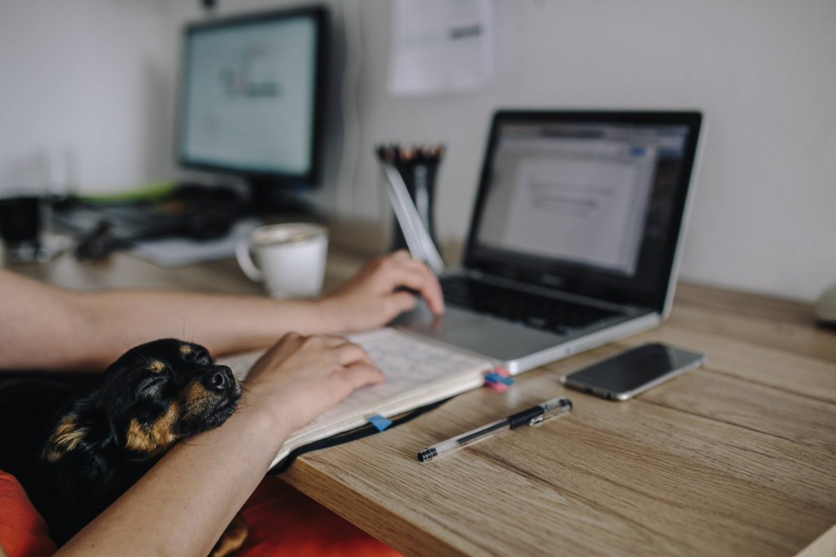 What Happens If a Company Fails an Audit? – Business Tips & Advice